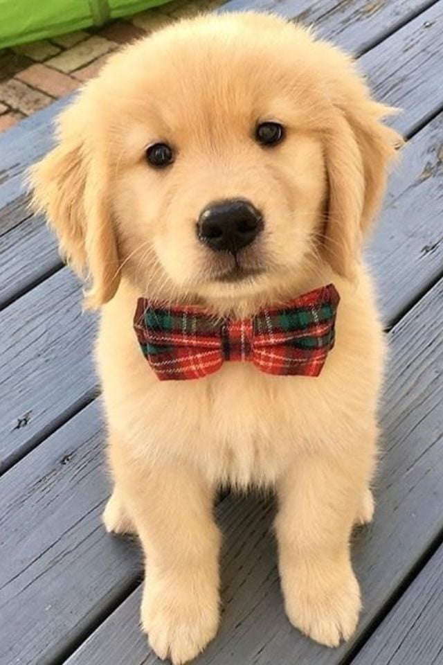 Well hello good looking - 9GAG