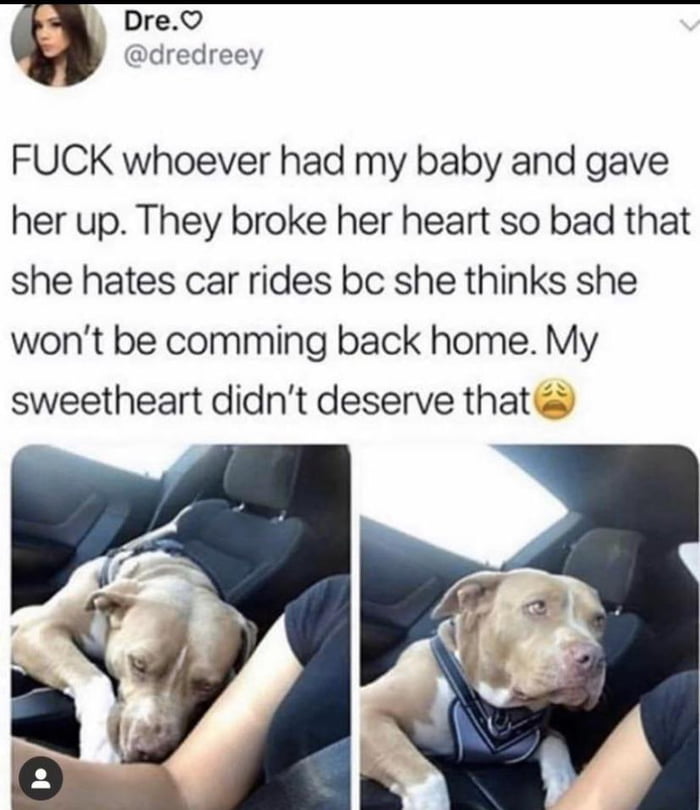 This is too cute - 9GAG