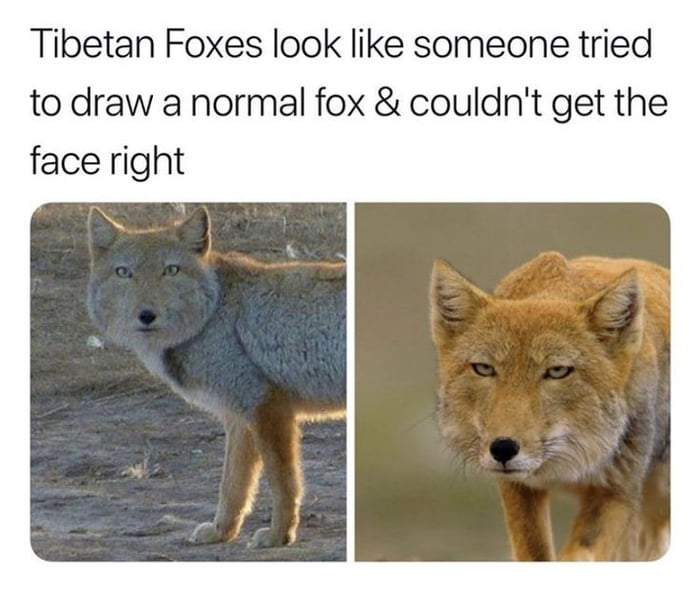 Did a doubletake - 9GAG