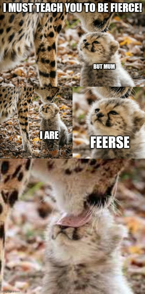 Another brave feerse boy. - 9GAG