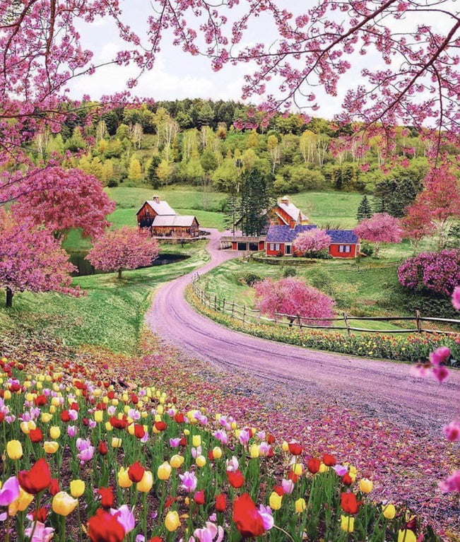 Vermont in spring! - 9GAG
