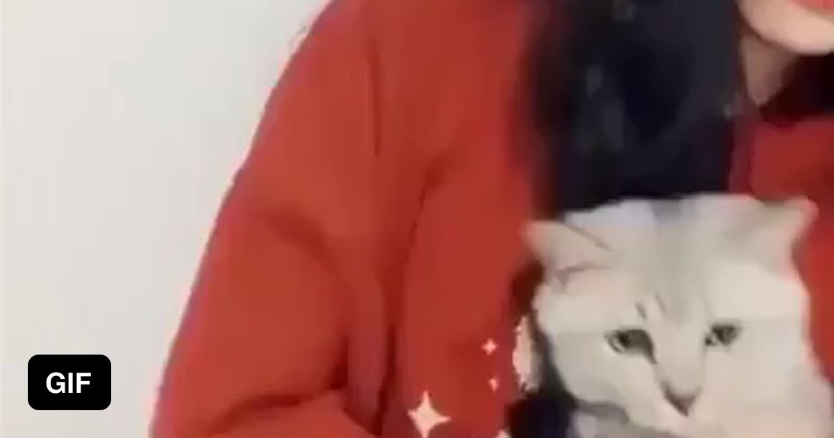 The surprises of cats that see people with filters - 9GAG