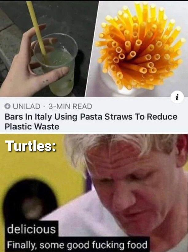 *Happy turtle noises* - 9GAG