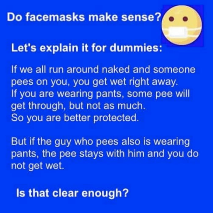 Do face masks make sense - 9GAG