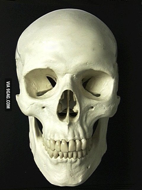 Skulls are always smiling - 9GAG