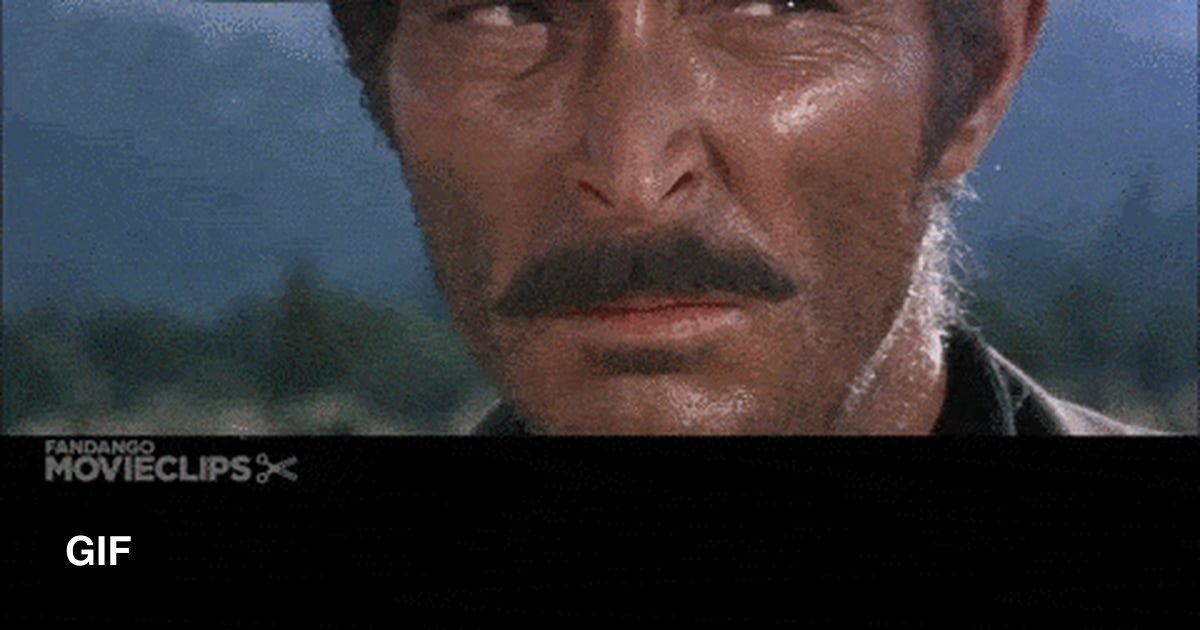 Ultimate Stare off.. - 9GAG