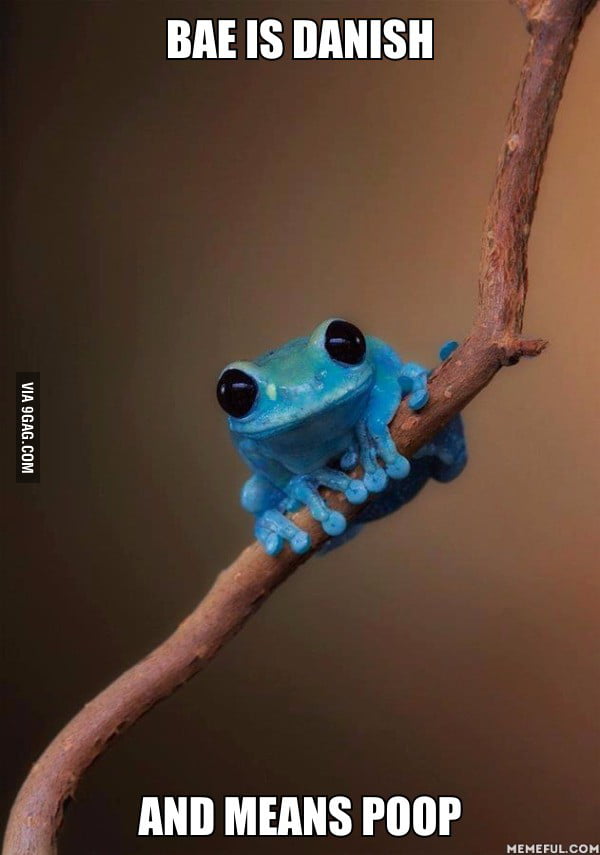Bae is danish. and means poop - 9GAG