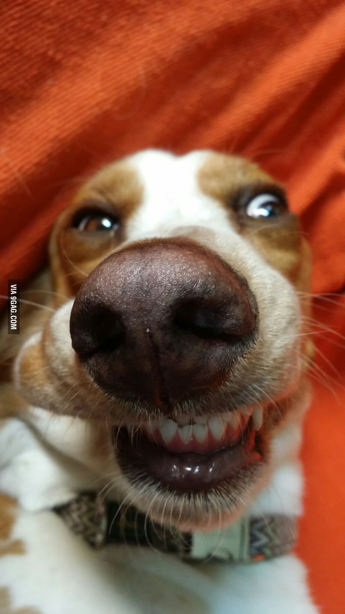 "That's so funny dude" - 9GAG