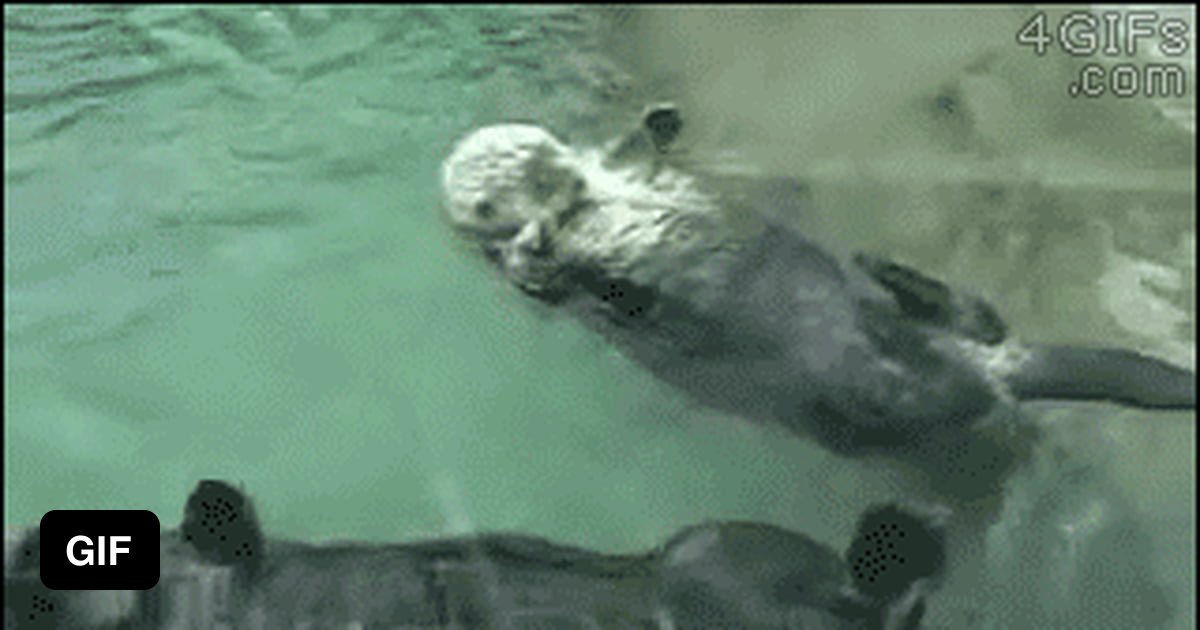 "Hey... hey..." "Hmm?" "Let me... hold your hand please!" - 9GAG