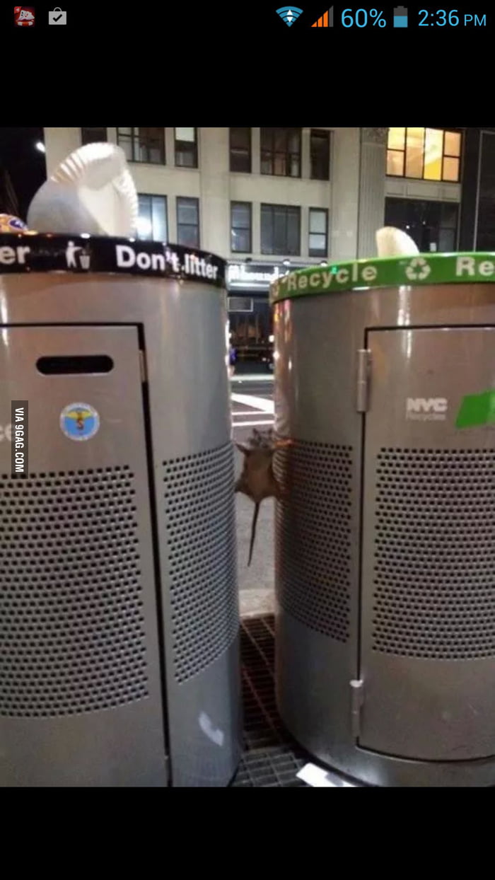 Mission impossible mouse is at it again - 9GAG