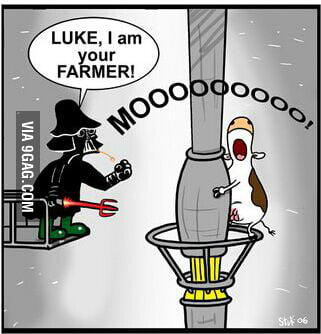 Mooooooooooo - 9GAG