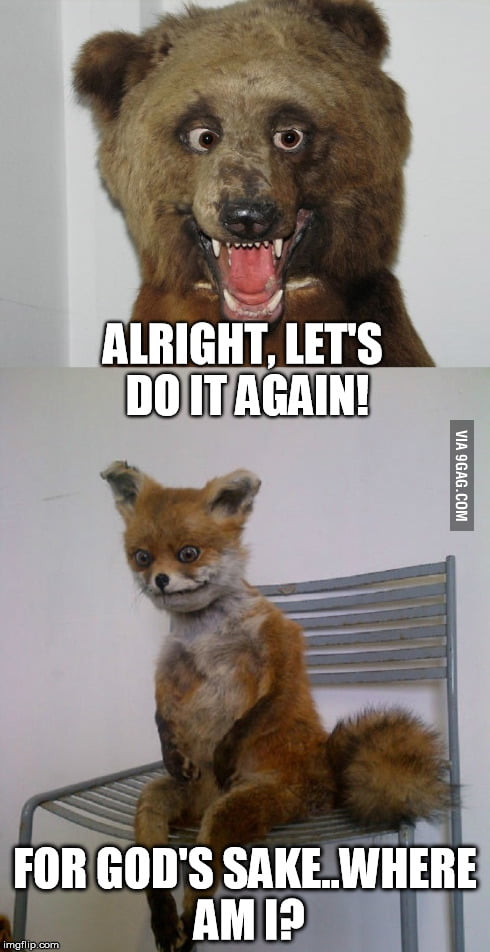 There are two kinds of people after an all-night party. (My first meme ...