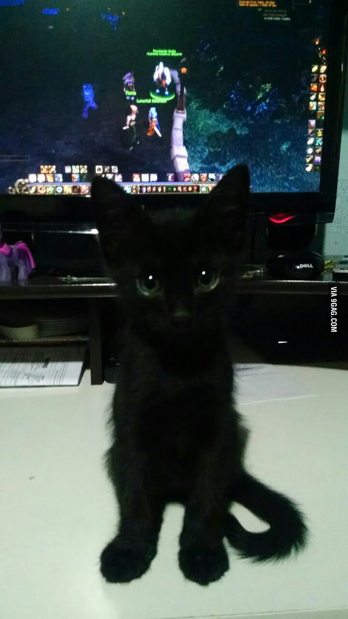 Fuzzy darkness watching me play - 9GAG