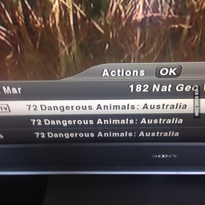 Guessing Australia is a dangerous place. - 9GAG