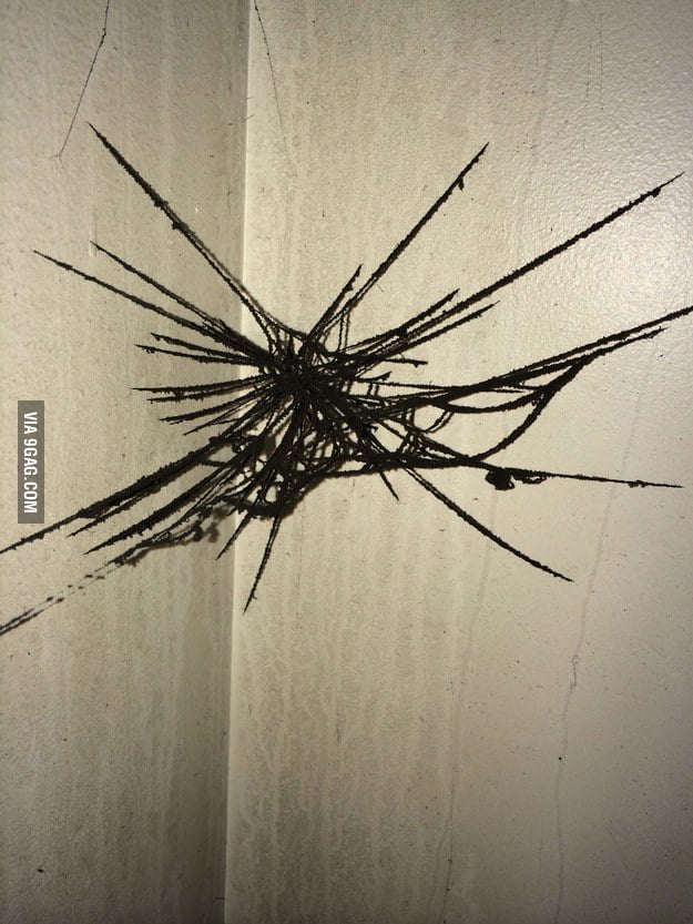 Ash covered spider webs - 9GAG