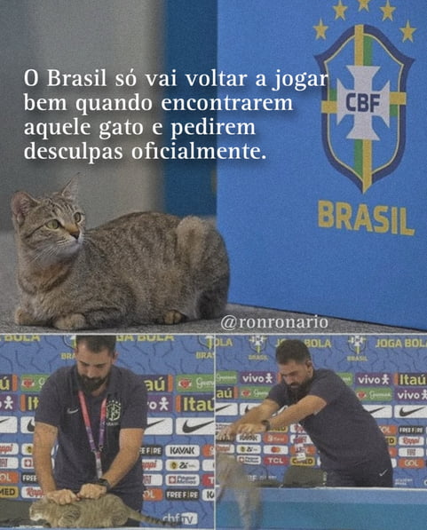 Ninguém mandou maltratar o gato - 9GAG