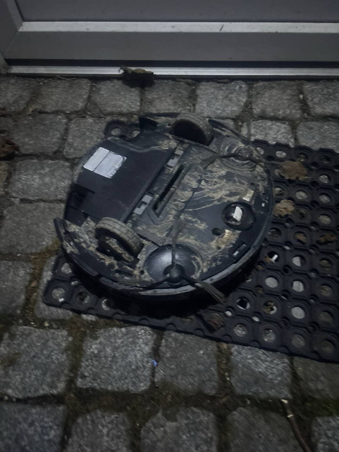 Cat + carpet + diarrhea + robot = shit hit the fan in my house while I ...