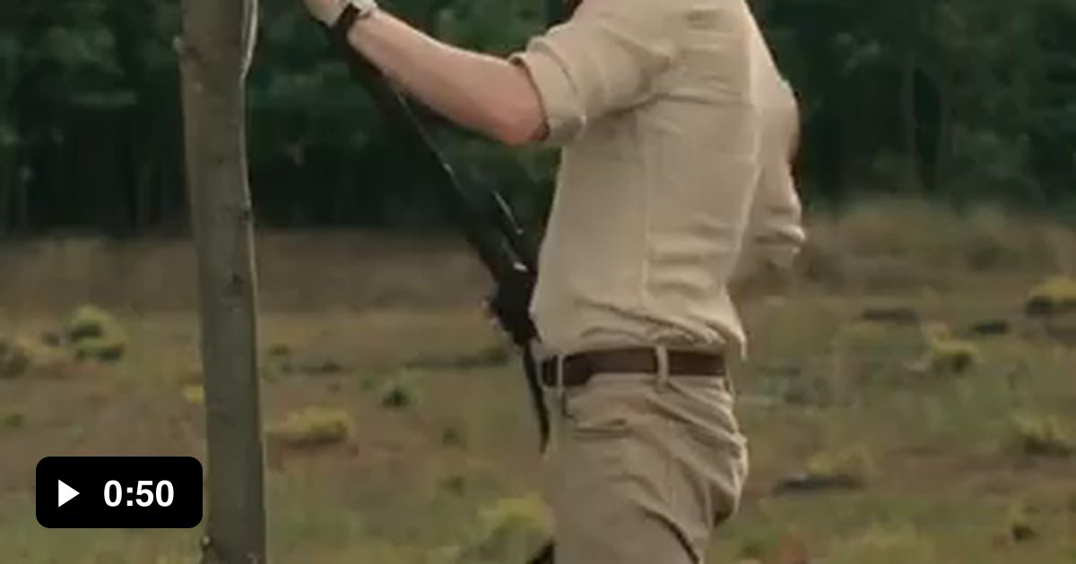 The almost perfect synchronization of scenes between the remake and the original film - 9GAG