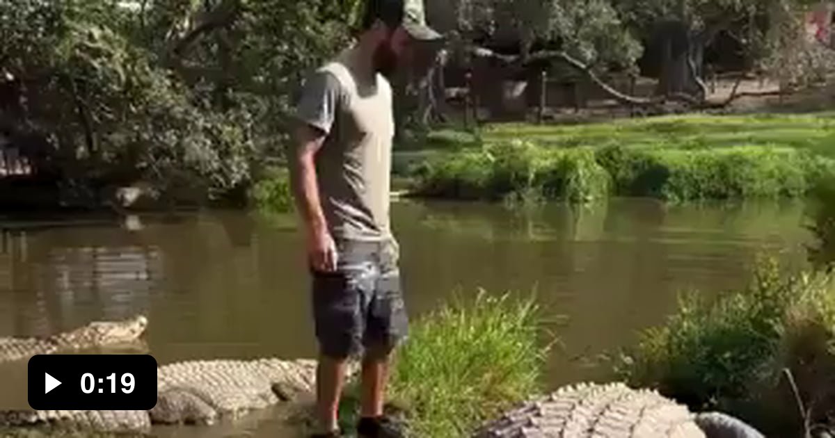 Henry the Nile Crocodile, first captured in 1903 he is believed to be ...