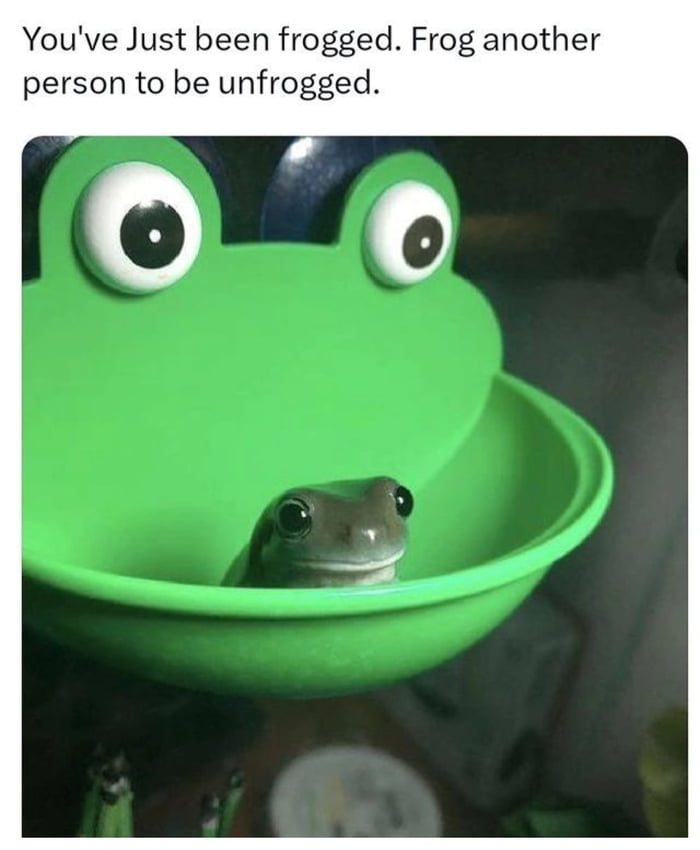 Happy Wednesday, my dudes. Get frogged! - 9GAG