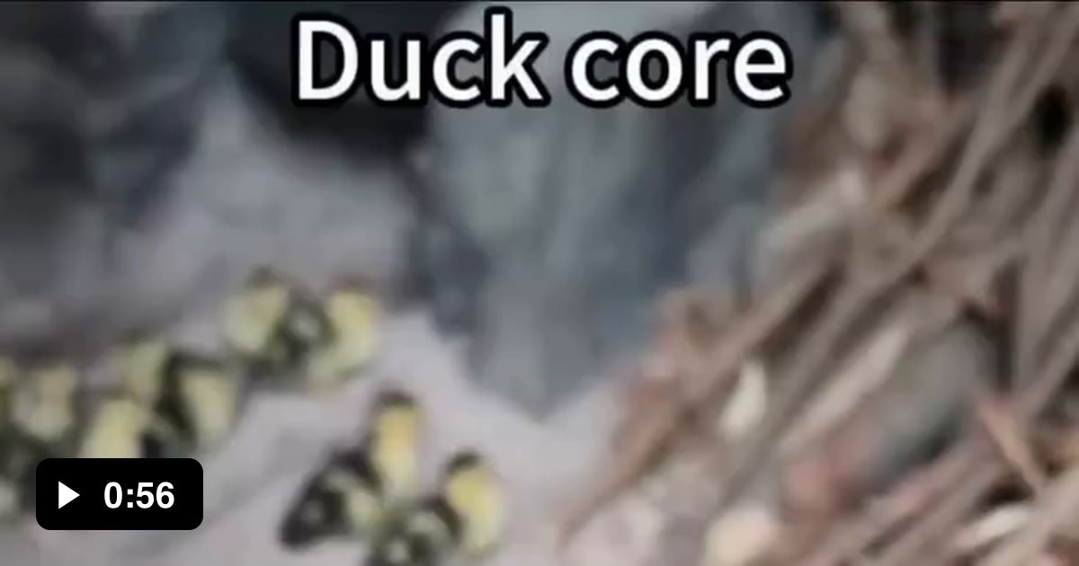 You need ducks in your life - 9GAG