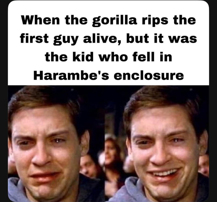 Somewhere junglely - 9GAG