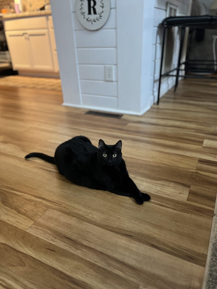 A very proper lady - 9GAG