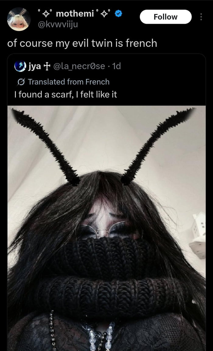 My evil twin is French and a moth, apparently - 9GAG