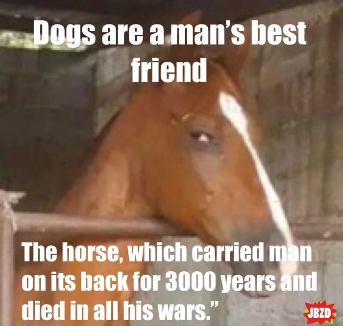 Hello my friend - 9GAG