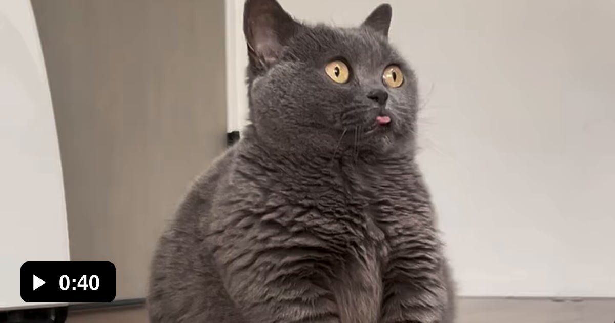 1% thoughts .... 99% derpy derp - 9GAG