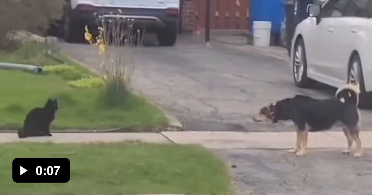 Never challenge the void - 9GAG