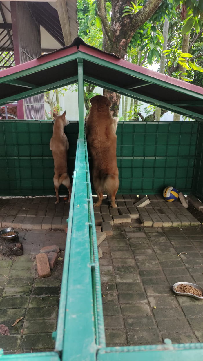 What they doin over there - 9GAG