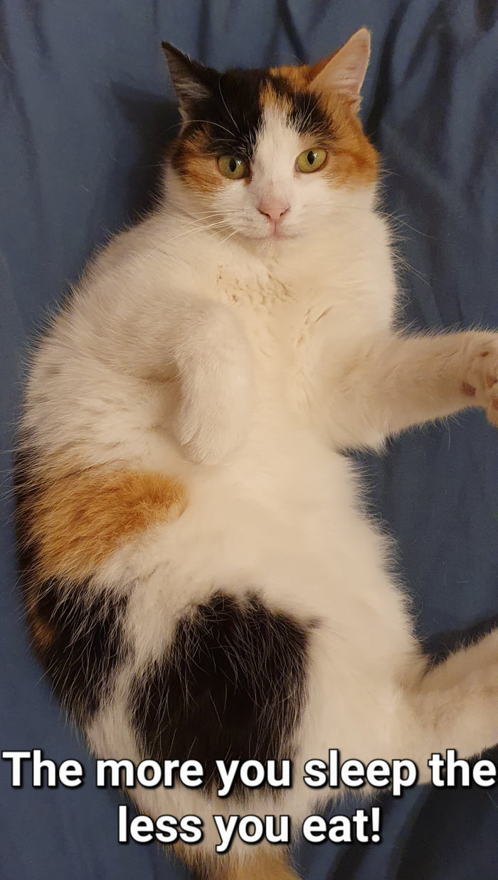 Today I realised the shocking truth - 9GAG