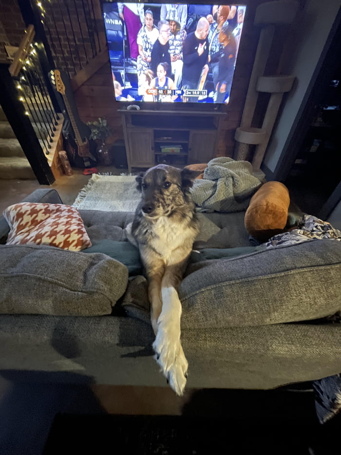 Mr. Shmancy Paws - 9GAG