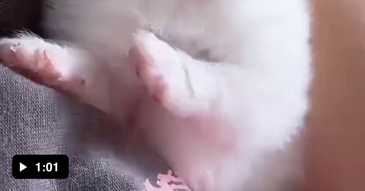 Smol kit kats... big mickups - 9GAG