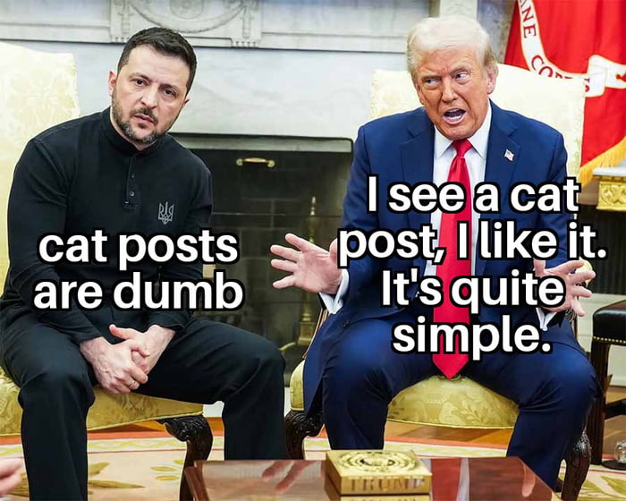 Cats are cute - 9GAG