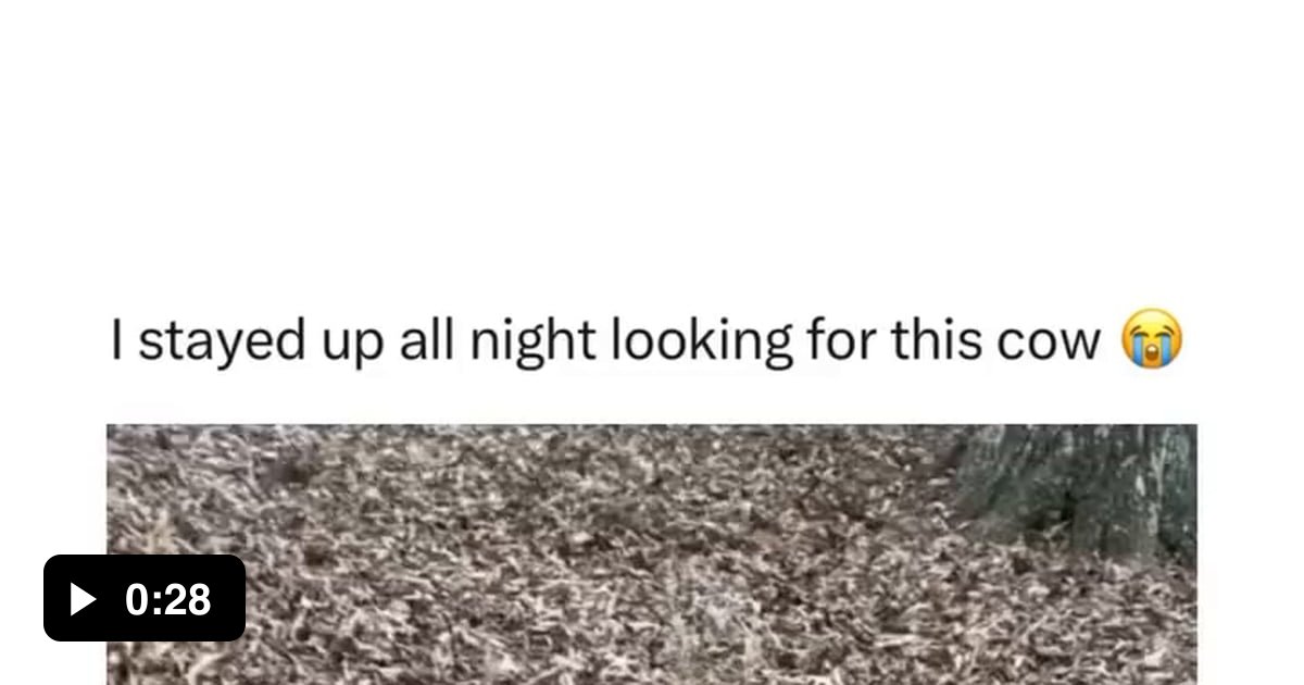 Found the missing cow - 9GAG