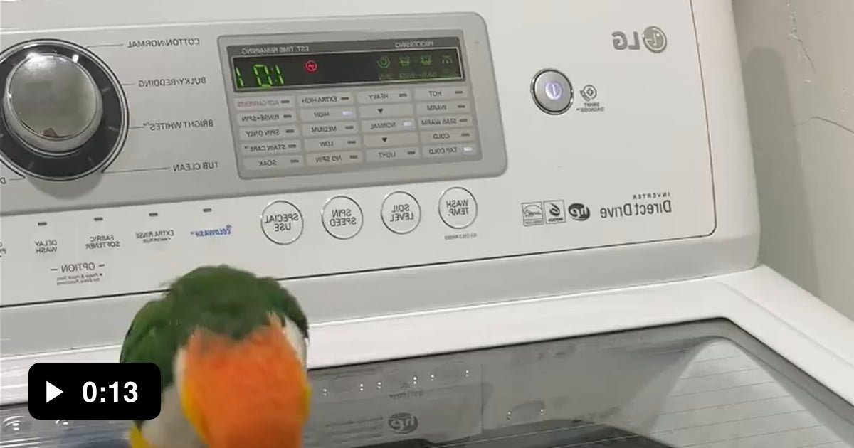 Spin cycle inspection - 9GAG