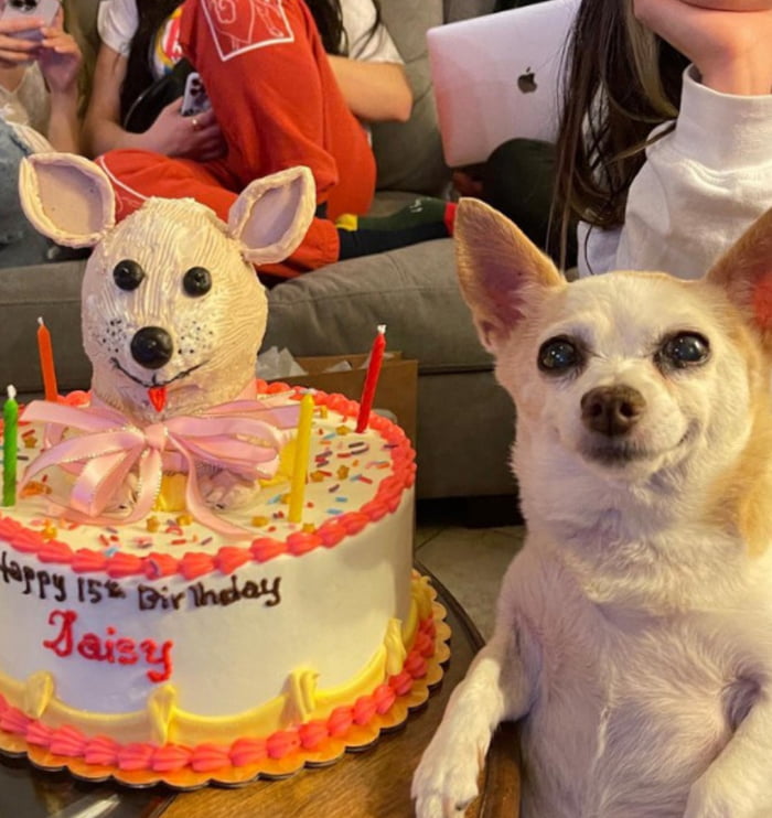 She loves the cake - 9GAG