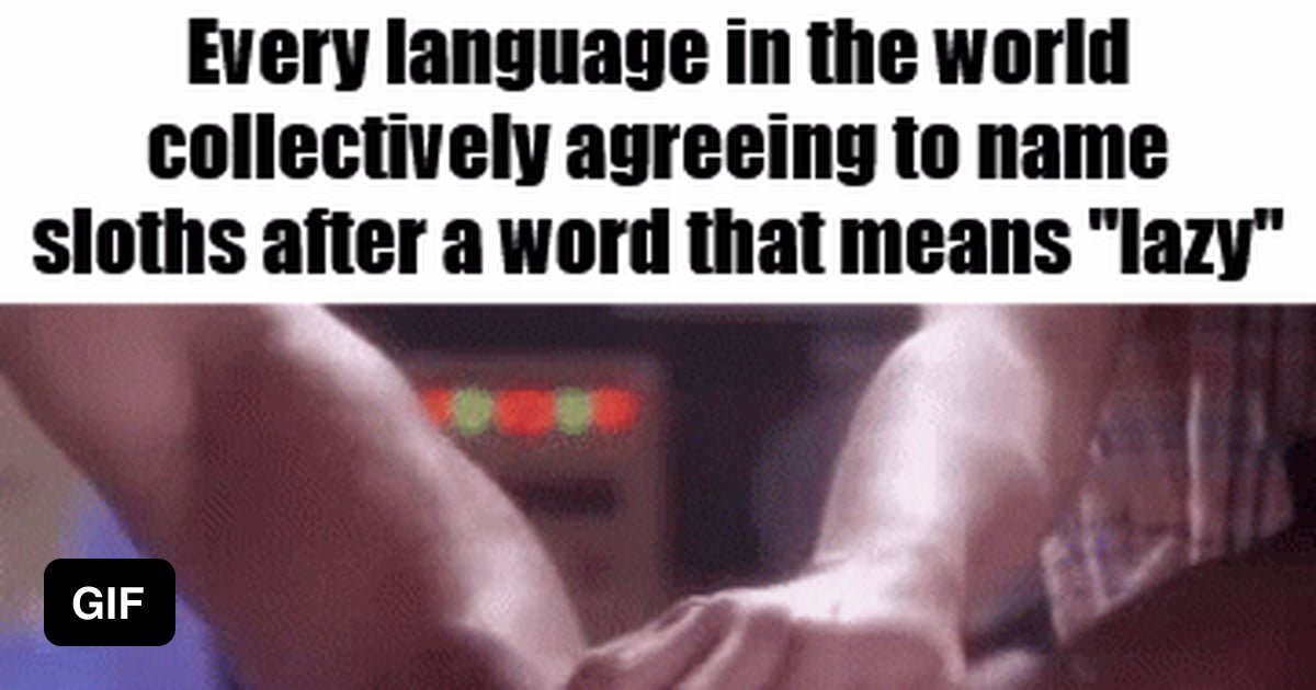 What the f**k did sloths do to deserve this - 9GAG