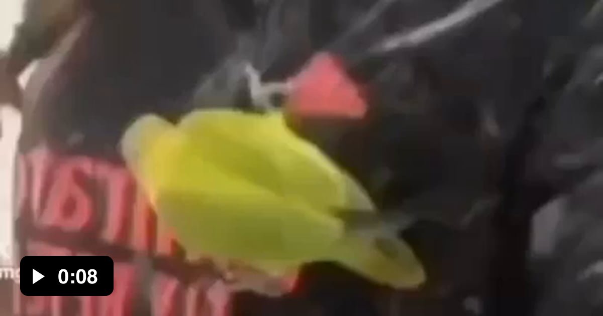 Fly high, my friend - 9GAG