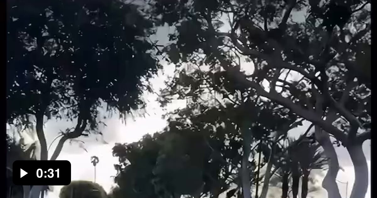 USA already living in gta 7 - 9GAG