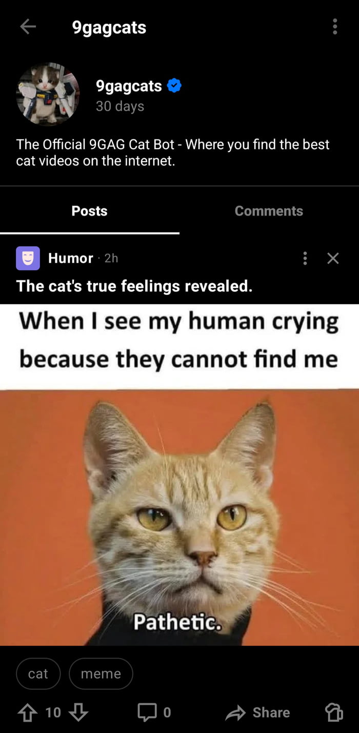 We are cooked chat. Now they publicly use bots... well it was nice memeing with you lads, and ...