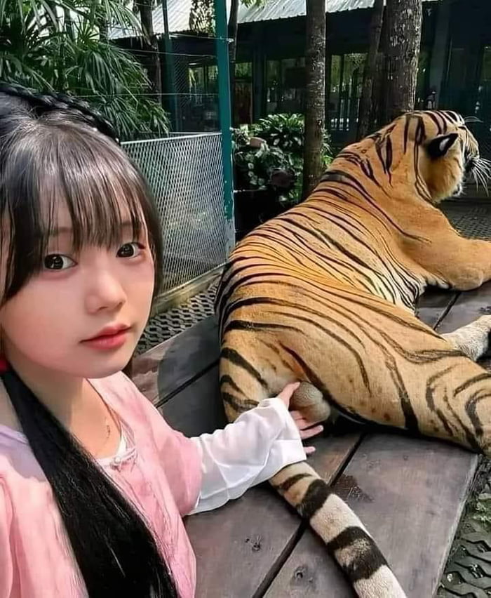 It's just a big orange cat - 9GAG