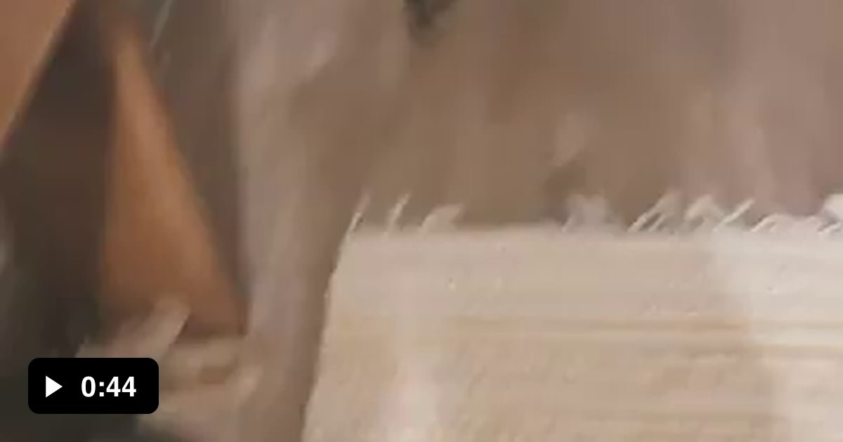 So rude doesn't let me speak - 9GAG