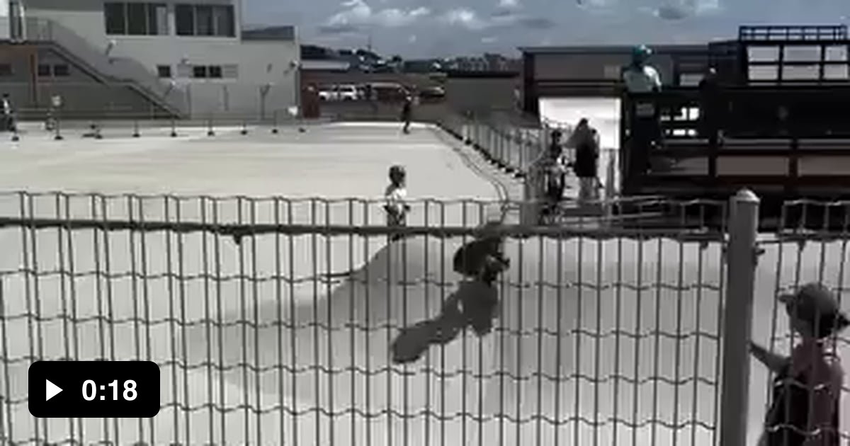 Kid jumps from his skate board onto a fence and back onto his board - 9GAG