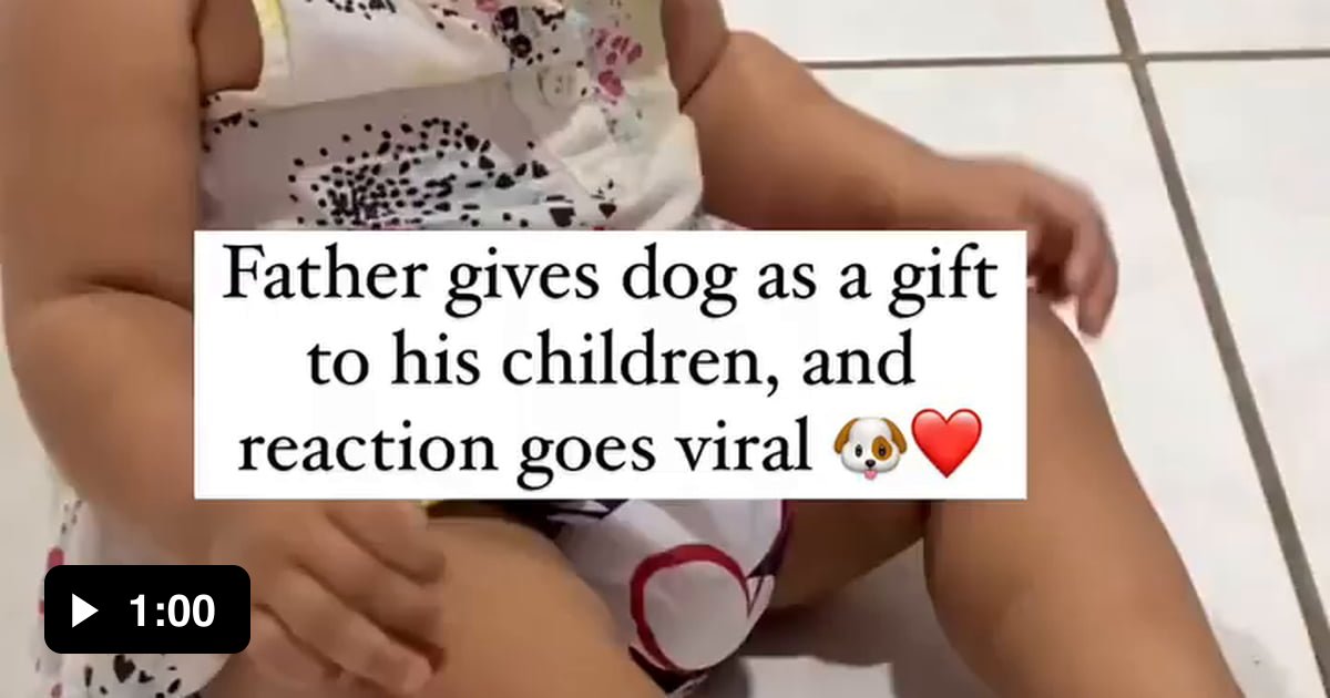 When Papa brings home a little puppy - 9GAG