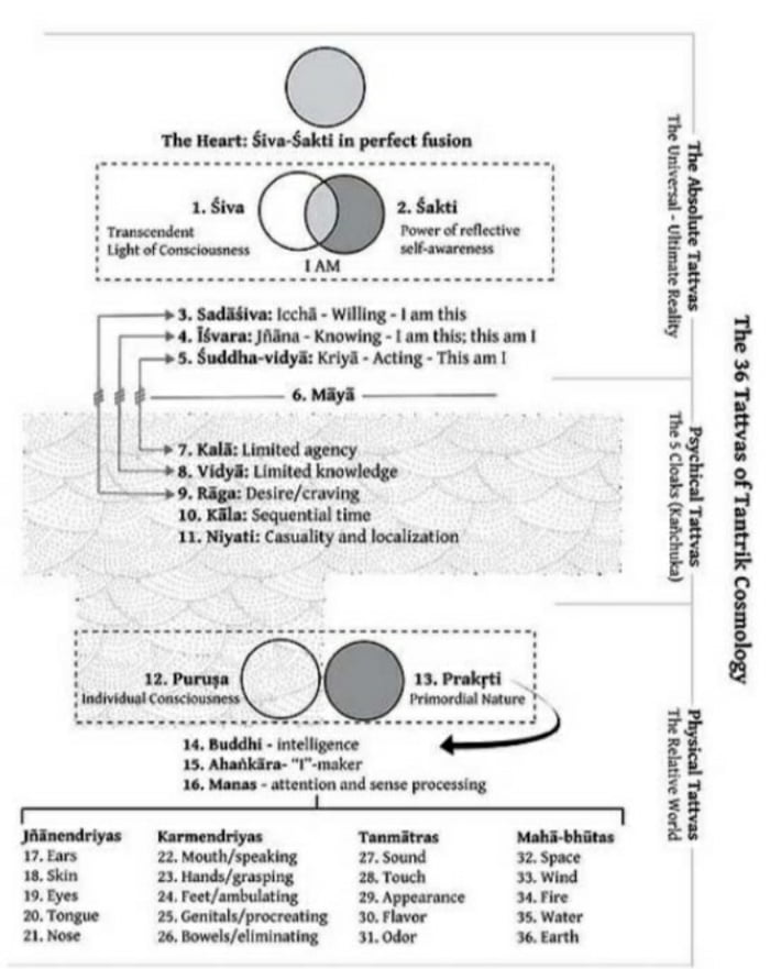 A Cool Guide: 36 tattvas - 9GAG