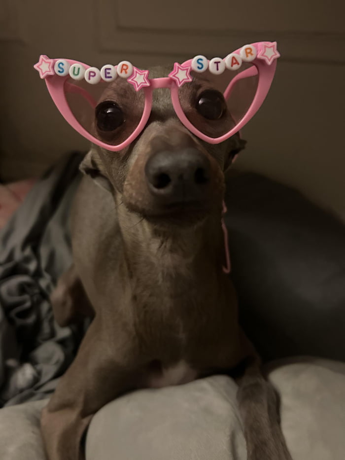 Miss diva gio says hello !! - 9GAG