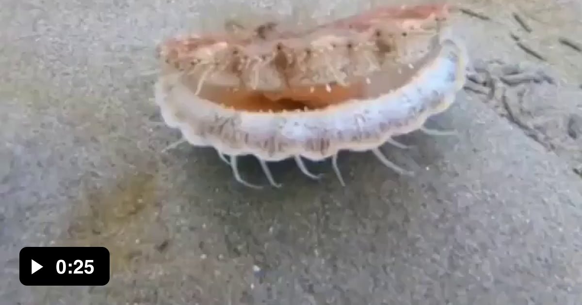 Try to catch me - 9GAG